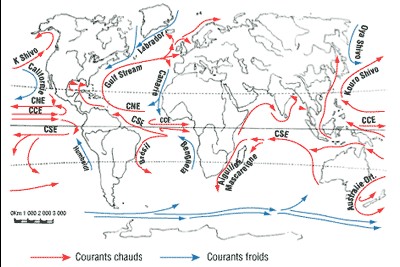 Dossier N° 1 : Les Courants Marins – Terra Projects